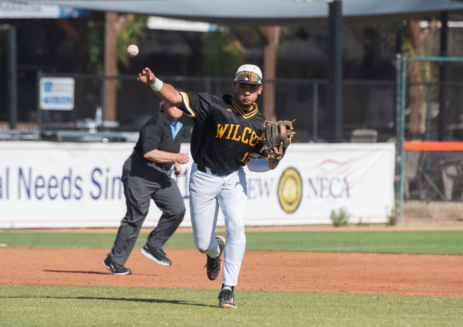 Chargers and Bruins Both Finish Fantastic Baseball Seasons - The ...