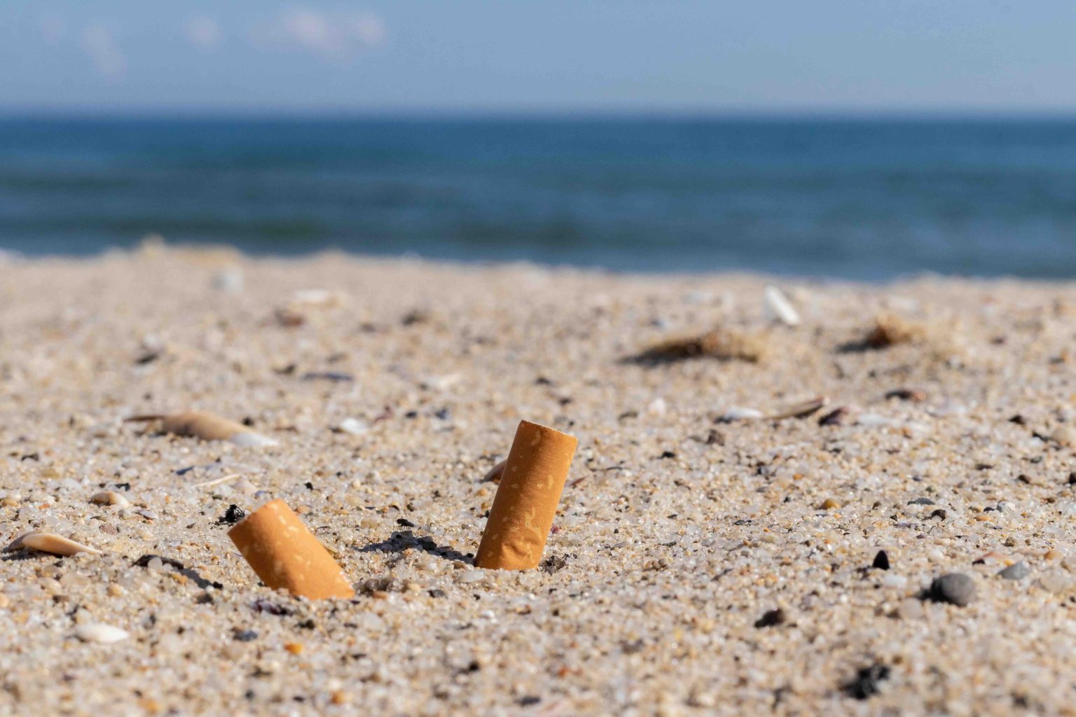 World's First Filtered Cigarette Ban in Santa Cruz, Capitola - The ...